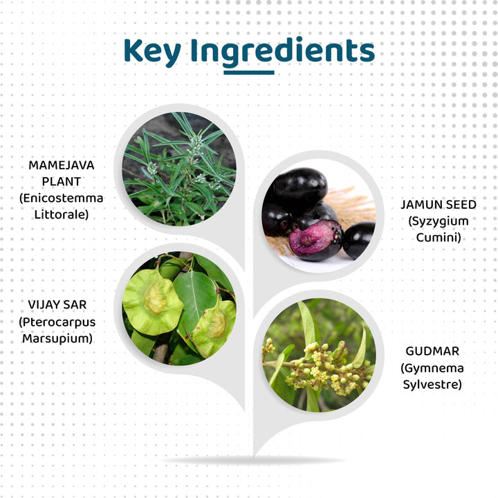 Codex Drugs Pvt. Ltd. | Quality Herbal Products & Nutraceuticals Contr